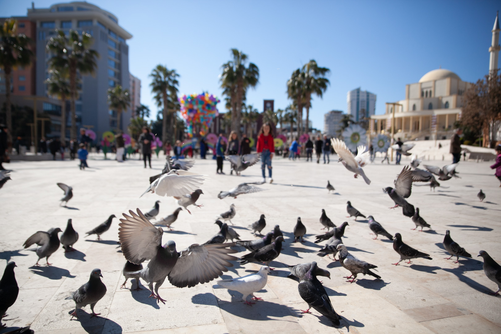 Rreth Keshillit Bashkiak – Bashkia Durrës